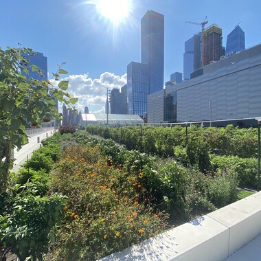 Bird-friendly Building Examples | NYC Bird Alliance